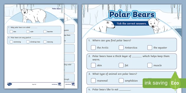KS1 Polar Bears Paper Quiz - Animals - Arctic (Teacher-Made)