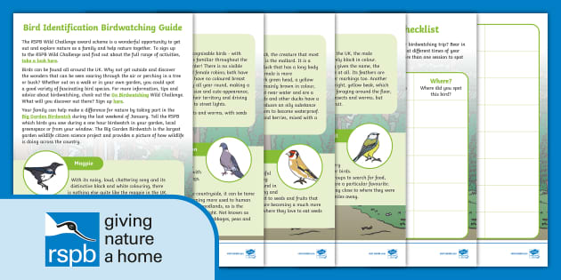 * NEW * Bird Identification Birdwatching Guide (Ages 5 -11)