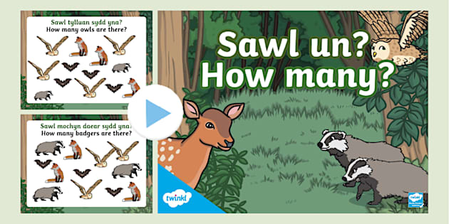 Learn Welsh: Counting to 5 in Welsh and English Woodland Animals Powerpoint