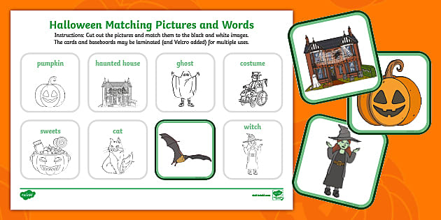 SEND Halloween Pictures and Words Matching Activity