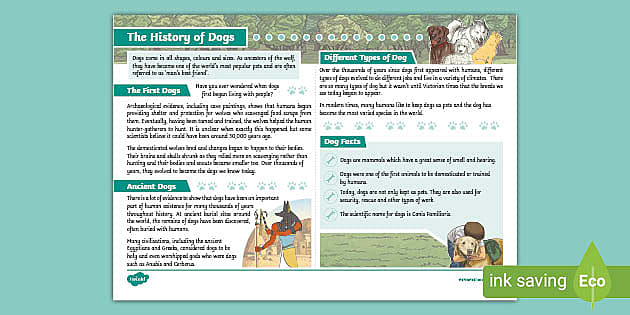 The History of Dogs Fact File (teacher made) - Twinkl