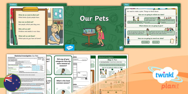 Level 1 Statistical Investigation: Our Pets - Twinkl