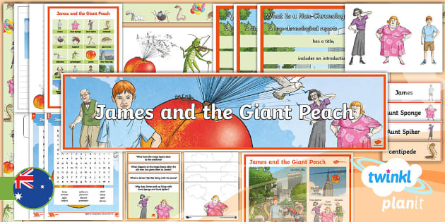 Year 4 James and the Giant Peach Display Pack to Support Teaching On 'James