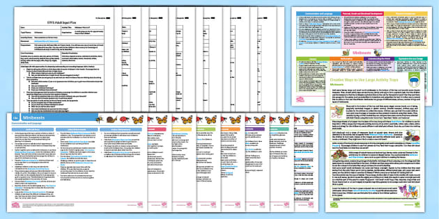 EYFS Reception Minibeasts Bumper Planning Pack - Twinkl