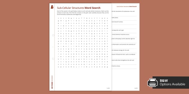 Sub-Cellular Structures Word Search (Teacher-Made) - Twinkl