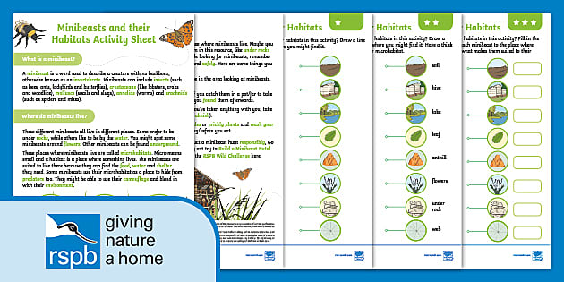 FREE! - Minibeasts and Their Habitats Activity Sheet (Ages 5 - 7)