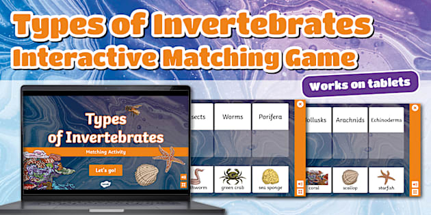 Types of Invertebrates Interactive Matching Game