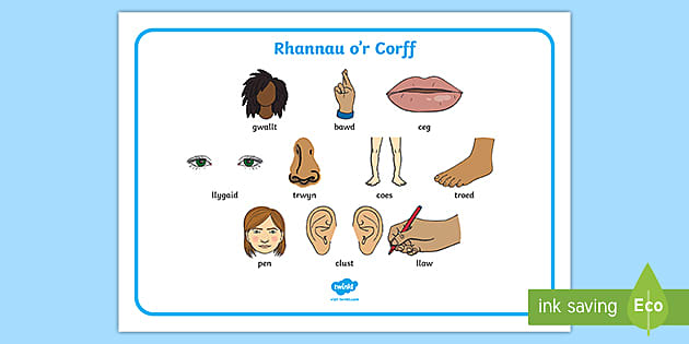 Mat Geiriau Rhannau'r Corff (teacher made) - Twinkl