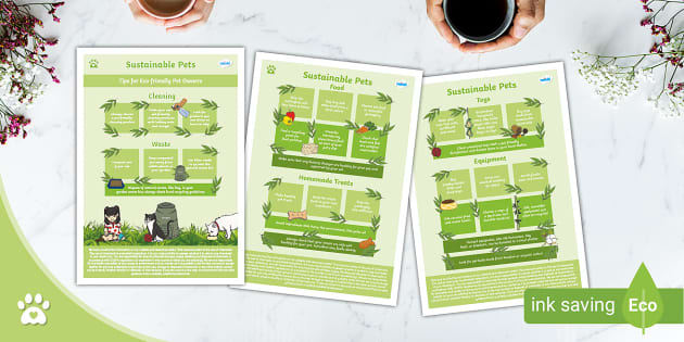 Sustainable Pet Advice Sheets (teacher made) - Twinkl