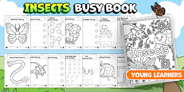 Insects Toddler Busy Book (teacher made) - Twinkl