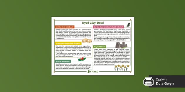 Ffeithlun Dydd Gŵyl Dewi (Teacher-Made) - Twinkl
