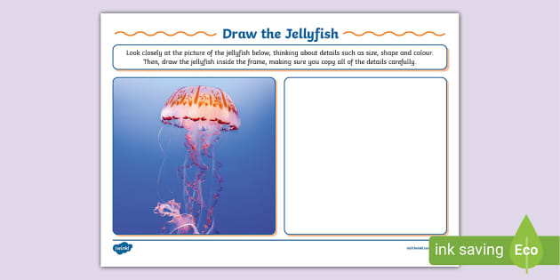 Draw the Jellyfish Activity (Teacher-Made) - Twinkl