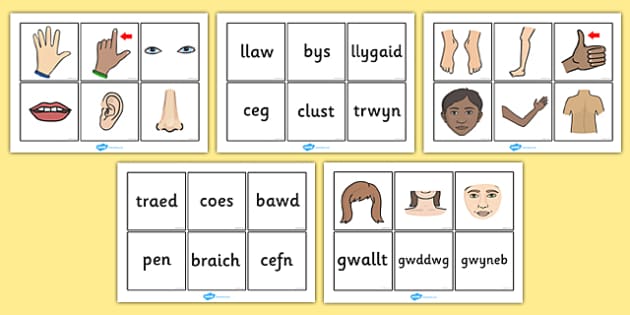 Parts Of The Body Word and Picture Matching Cards Welsh