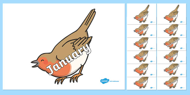 Months of the Year on Robins (teacher made)