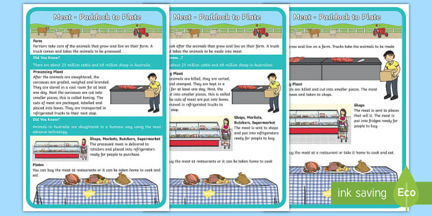 Meat Paddock to Plate Display Poster