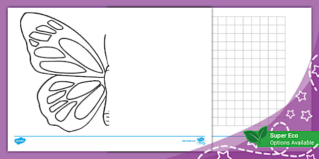 Symmetry Butterfly Painting Activity (teacher made) - Twinkl