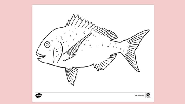 FREE! - Gills Colouring | Colouring Sheets - Twinkl