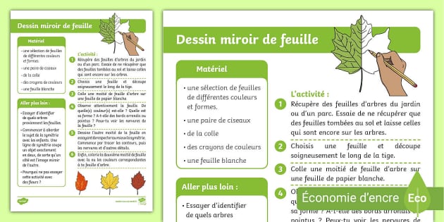 Activité en plein air - symétrie et couleurs de feuilles d'arbres