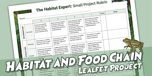 The Habitat Expert: Habitat and Food Chain Leaflet Project Rubric