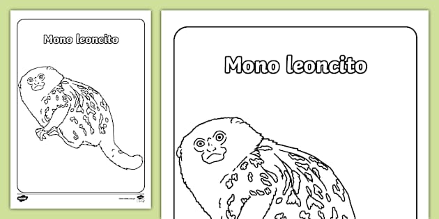 Hoja para colorear: Mono leoncito