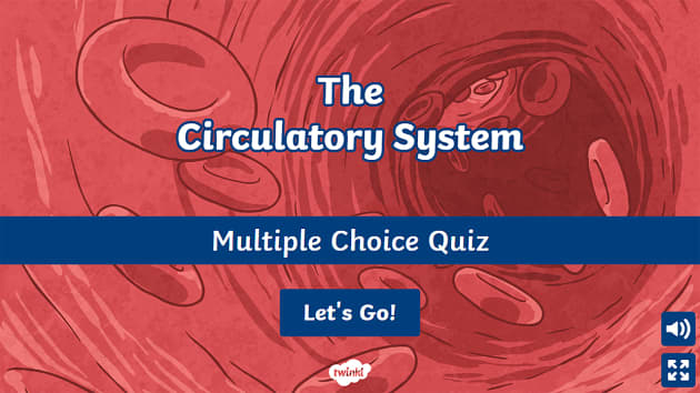 The Circulatory System Multiple Choice Quiz - Twinkl