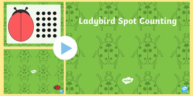 Ladybird Spot Counting Activity PowerPoint (teacher made)