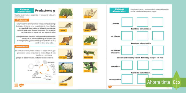 Cadenas alimenticias - Ciencias Naturales - Twinkl Colombia