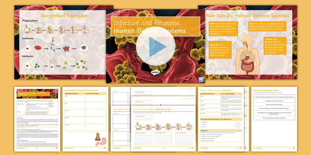 AQA Infection and Response Lesson 3: Human Defense Systems Lesson Pack