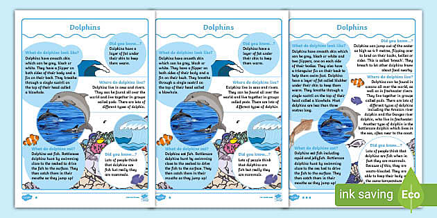 Dolphin fact file - KS1 Dolphins Fact File (Differentiated)