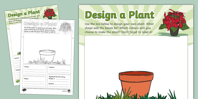 Design a Plant Worksheet (teacher made) - Twinkl