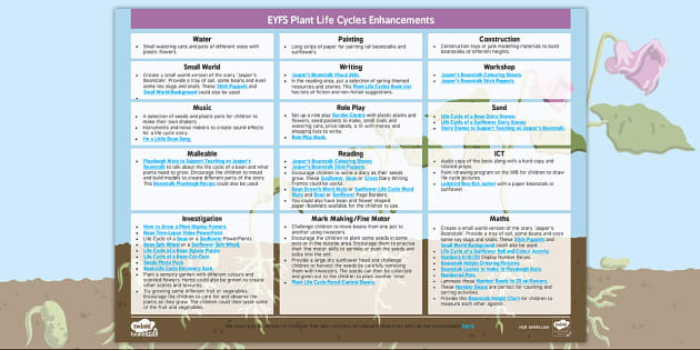 EYFS Plant Life Cycles Enhancement Ideas - Twinkl