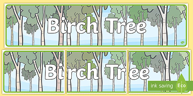 FREE! - 👉 Birch Class Display Banner (teacher made)