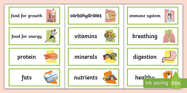 The Importance of Food Word Cards (teacher made) - Twinkl