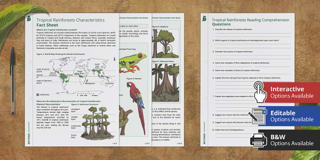 GCSE AQA Tropical Rainforest Reading Comprehension - Twinkl