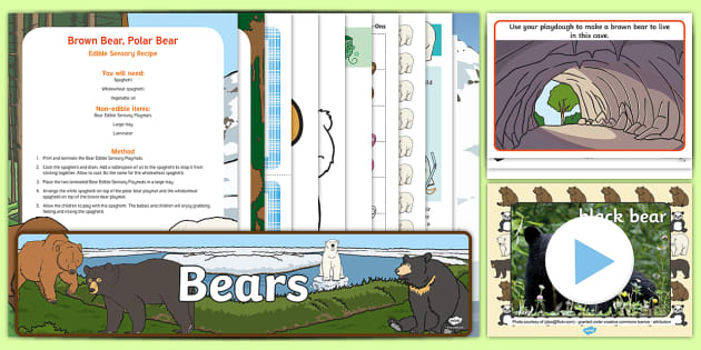 Childminder Bears EYFS Resource Pack (teacher made) - Twinkl