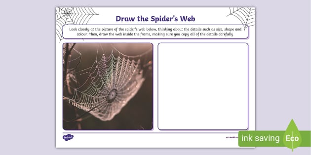 Draw the Spider's Web Art Activity,spiders web - Twinkl