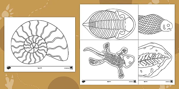 Paleontologist Coloring Page