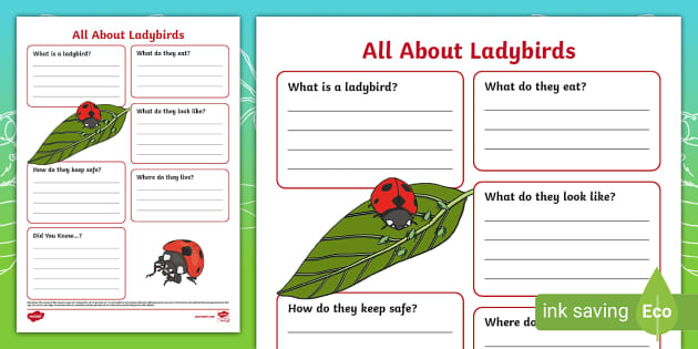 Ladybirds Fact File Template (teacher made) - Twinkl