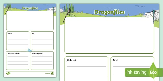 Dragonflies Fact File Template (l'enseignant a fait)