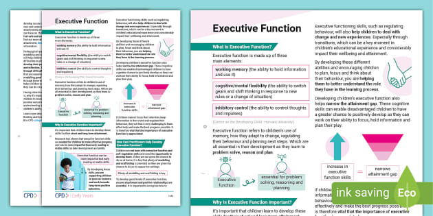 Executive Function EYFS Practitioner Support | CPD | Twinkl