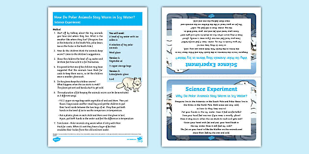 How Do Polar Animals Stay Warm? Science Experiment Pack