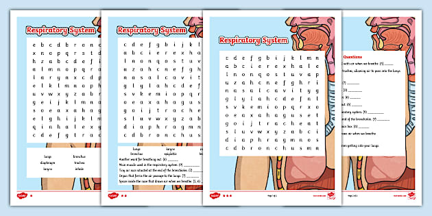Respiratory System Tricky Vocabulary Word Search - Twinkl
