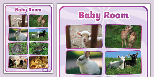 Spring Baby Room Photo Display Poster (Teacher-Made)