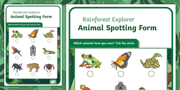 Rainforest Explorer Role Play Animal Spotting Form - Twinkl