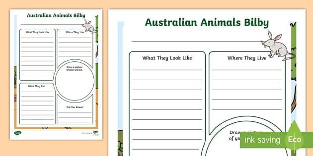 Australian Animals Bilby Information Report Writing Template