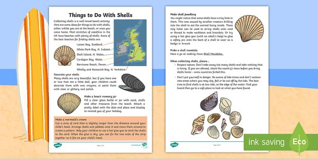 Things to Do With Shells Worksheet / Worksheet