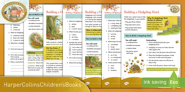 FREE! - A Flying Visit: Build a Hedgehog Hotel KS1 Comprehension