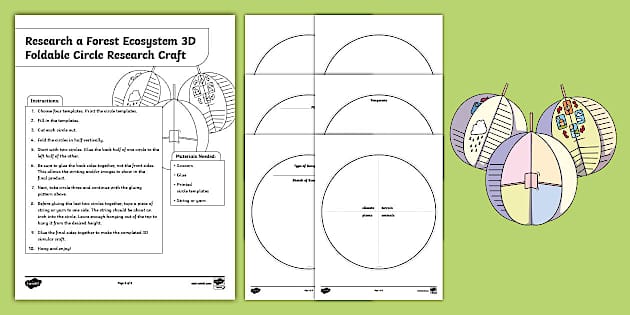 Research Forest Ecosystem 3D Foldable Circle Research Craft