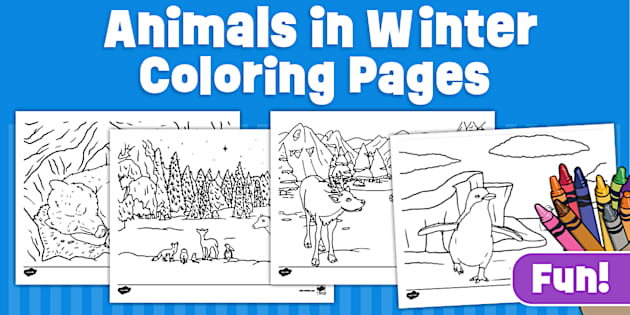 Animals in Winter Coloring Pages