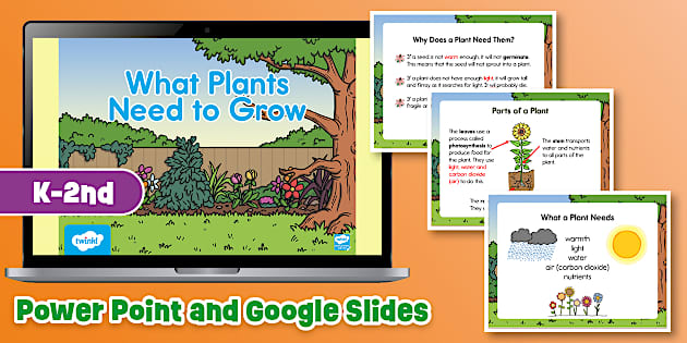 What Plants Need to Grow PowerPoint & Google Slides for K-2
